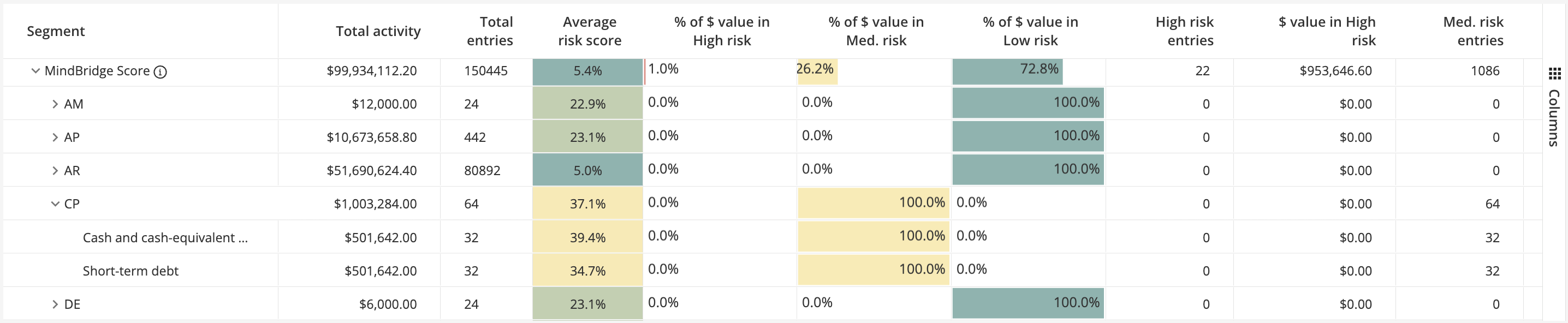 Risk segmentation use cases – MindBridge: English (US)